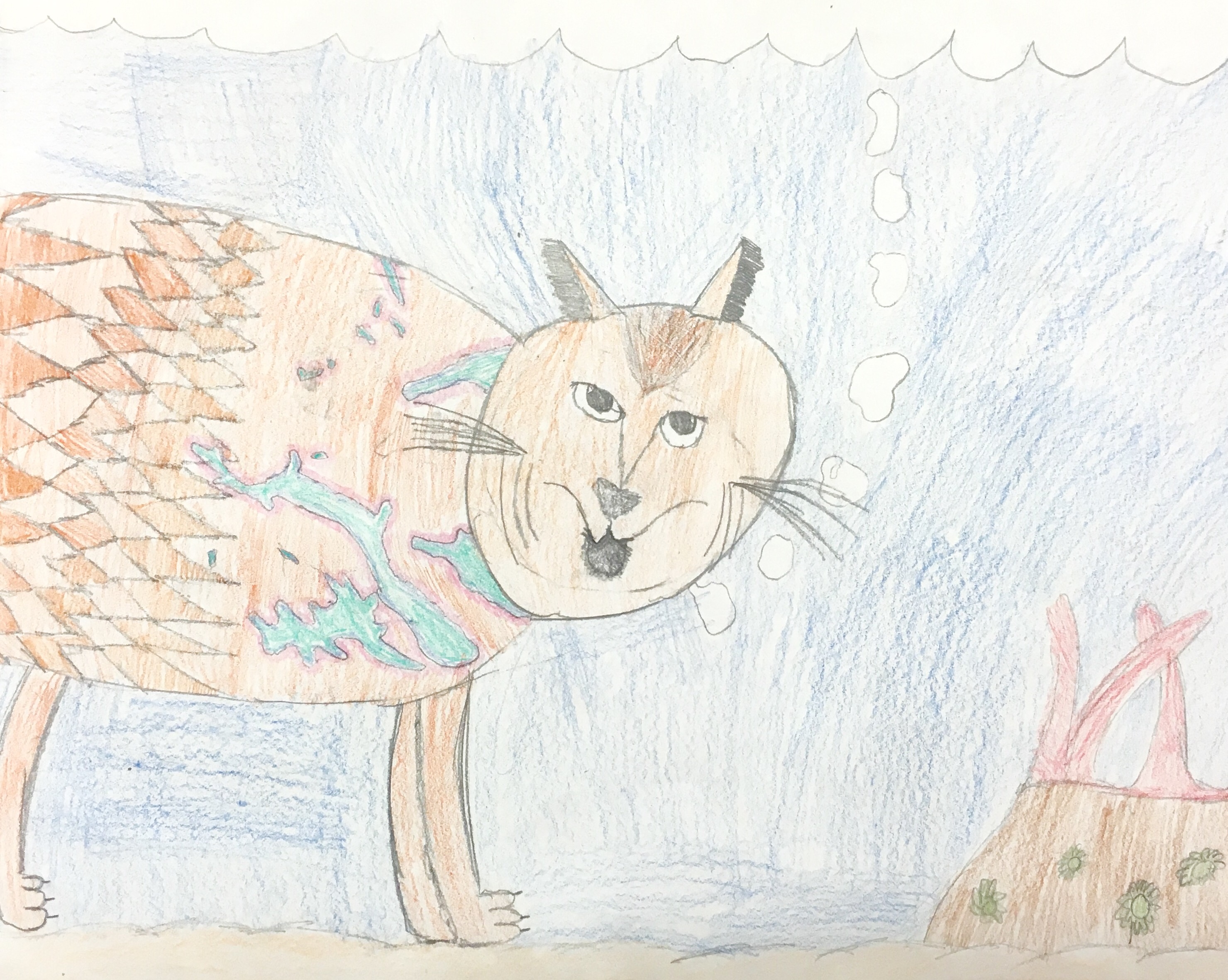 Hybrid Animals – Artful Squid