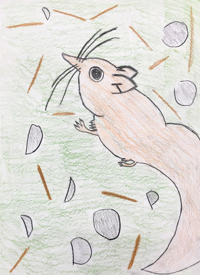 Hybrid Animals – Artful Squid
